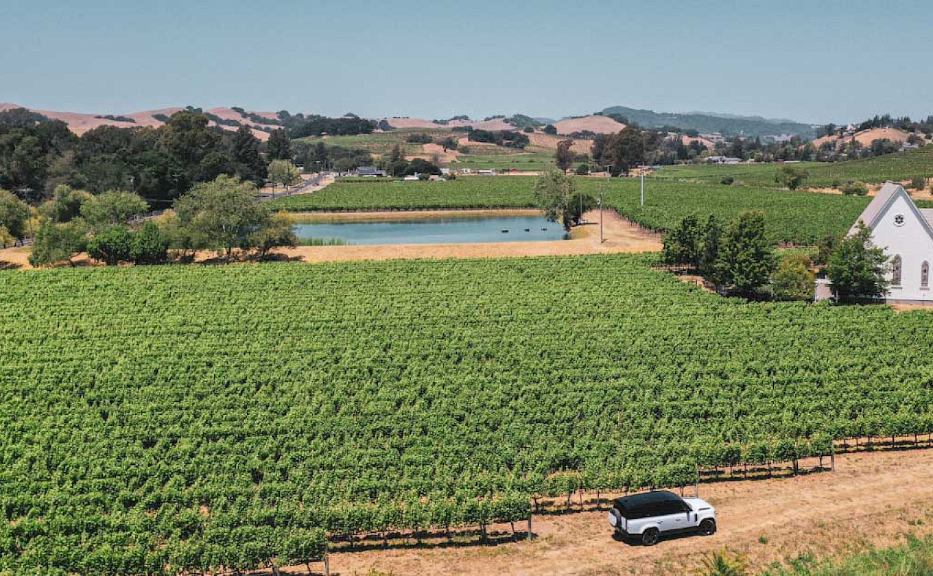 The Explorer - Sonoma/Napa winegrowing regions tour - Bohemian Highway