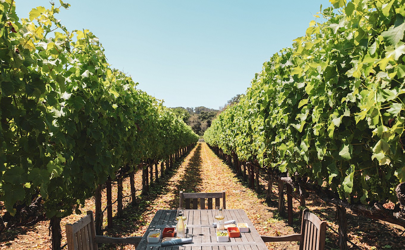 Wine Country Experiences and Tours - Bohemian Highway